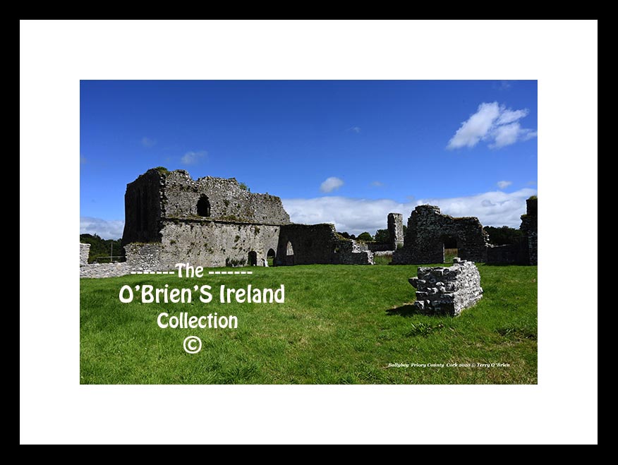 Ballybeg Priory ~ also known as Ballybeg Abbey, the Abbey of St Thomas ...